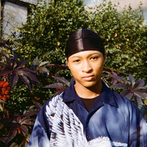 Saiming - Hotvox